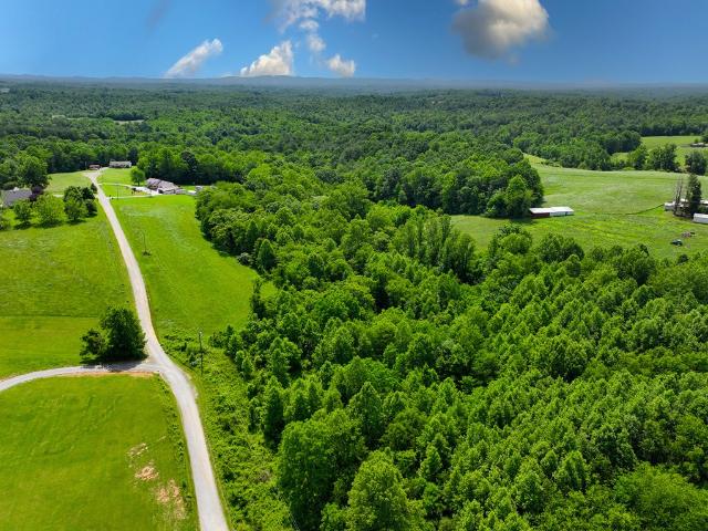 0 Tbd English Forrest