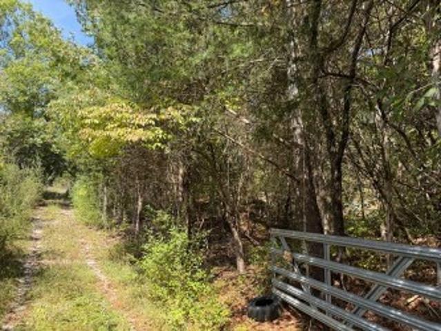 0 Tbd Martins Farm Rd