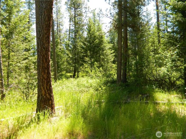 0 Tbd Murphy Ranch Road