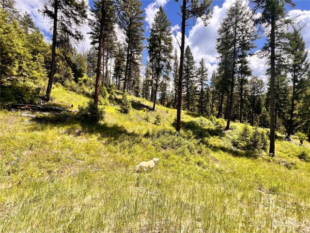 0 TBD Old Kettle Falls Road