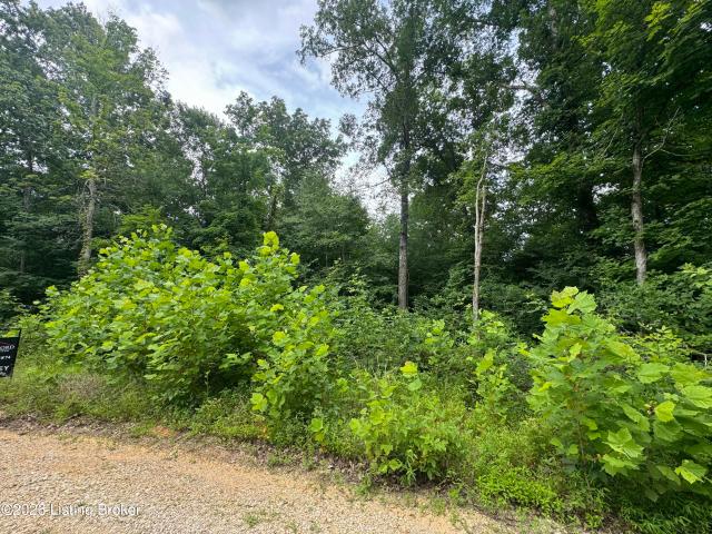 0 Ted Logsdon Rd