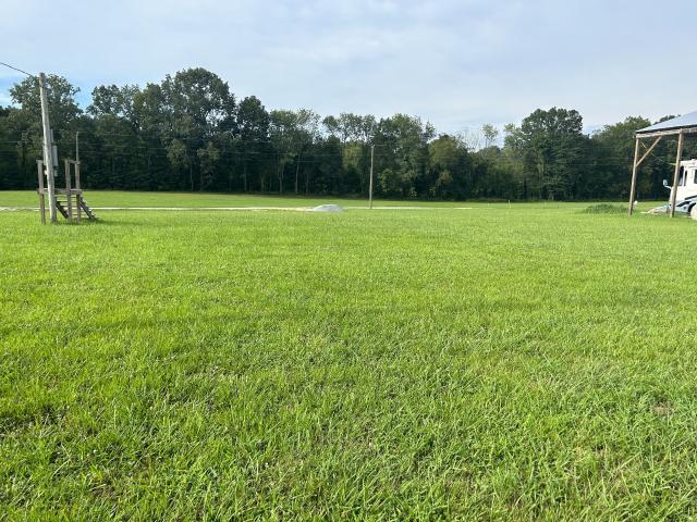 0 Tennessee River, Clifton, TN 38425 | MLS #2772 | Compass
