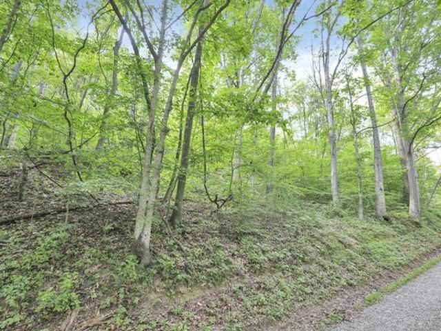 0 Thad Hall Rd Lot 1, Laurelville, OH 43135