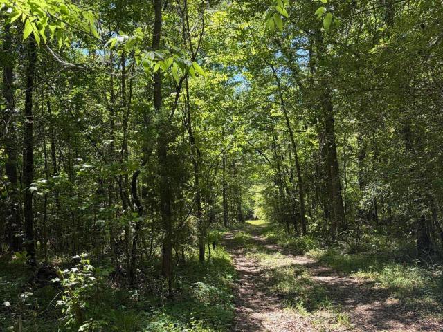 0 Thicket Lane