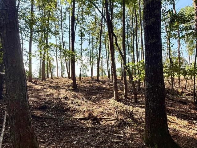 0 Thompson Rd, Greer, SC 29651 | MLS #1593