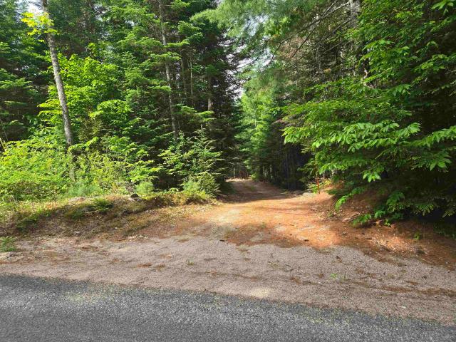 0 Thorn Hill Road # R14 8 B