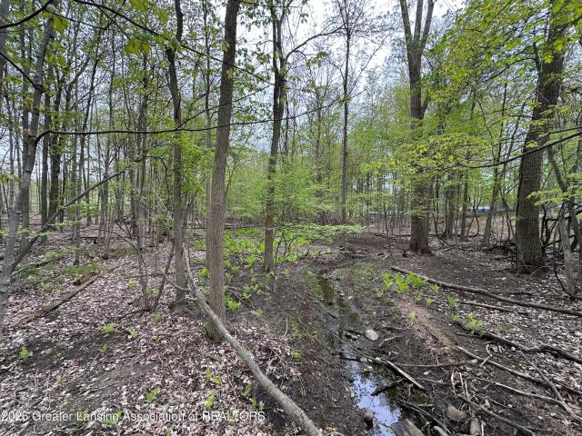 0 Thornapple Drive