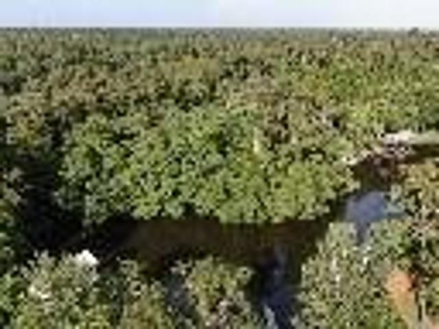 0 three Rivers Rd, Covington, LA 70433 | MLS #2508