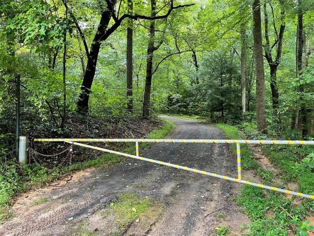 0 Tickanetley Rd, Ellijay, GA 30536 | MLS #7666