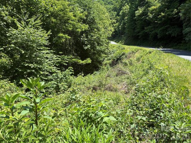 0 Timber Estates Road # 11