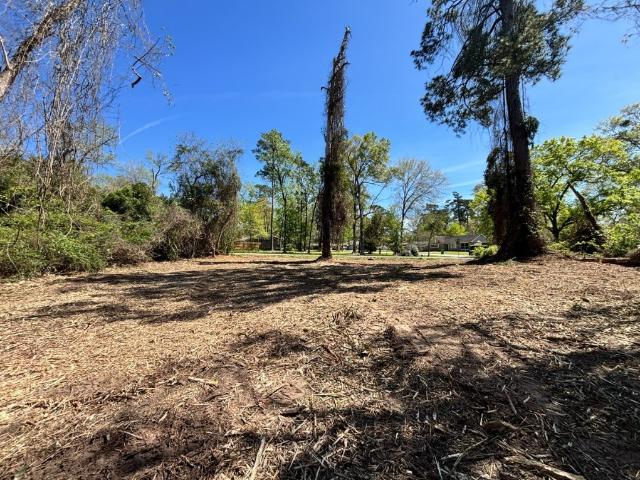 0 Timber Lakes Dr, Spring, TX 77380 | MLS #43562