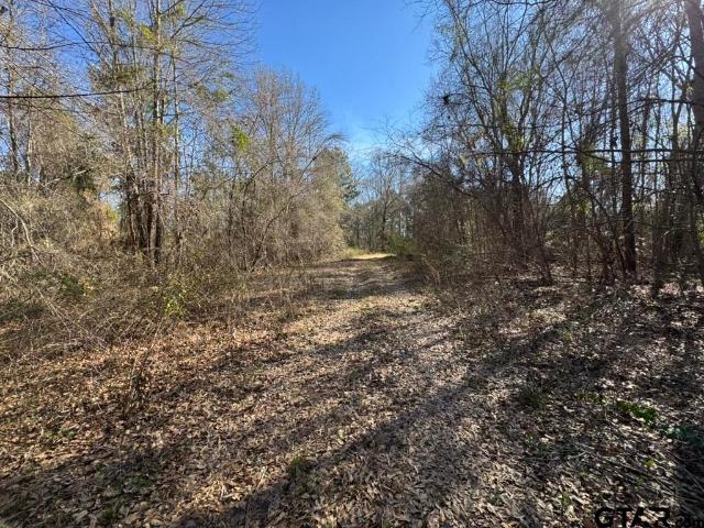0 Timber Rdg Ln, Whitehouse, TX 75791 | MLS #26003