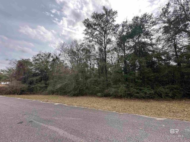 0 timber springs drive