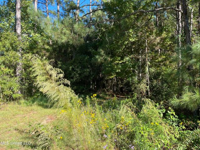 0 Timberlane Road