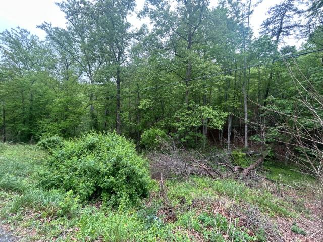 0 Timberview Road
