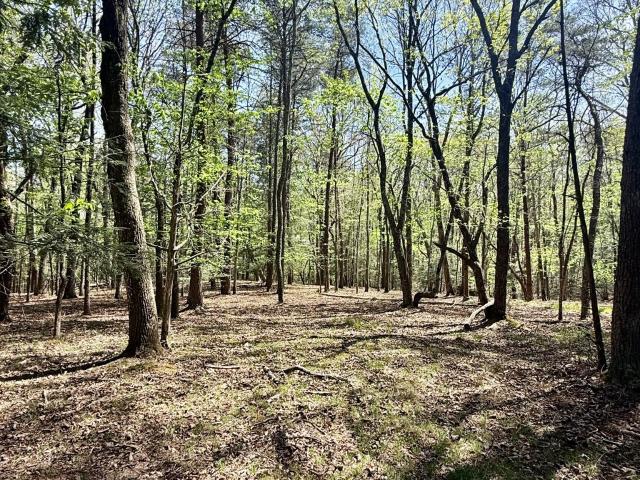 0 Timberwood Trace Lot 310
