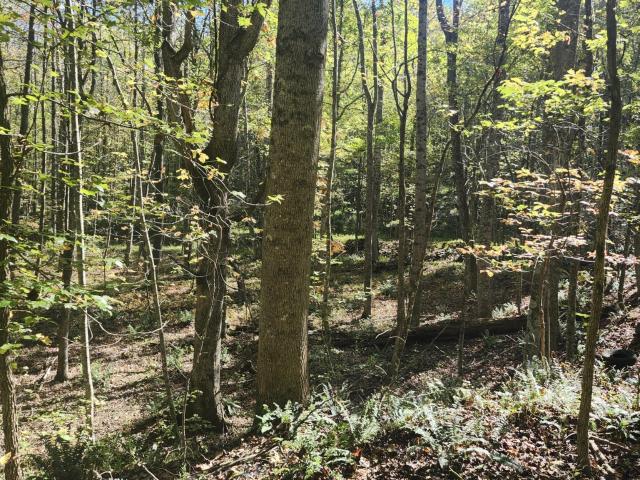 0 Tipple Rd, Tracy City, TN 37387 | MLS #3030 | Compass
