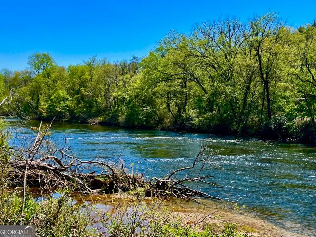 0 Toccoa River Forest