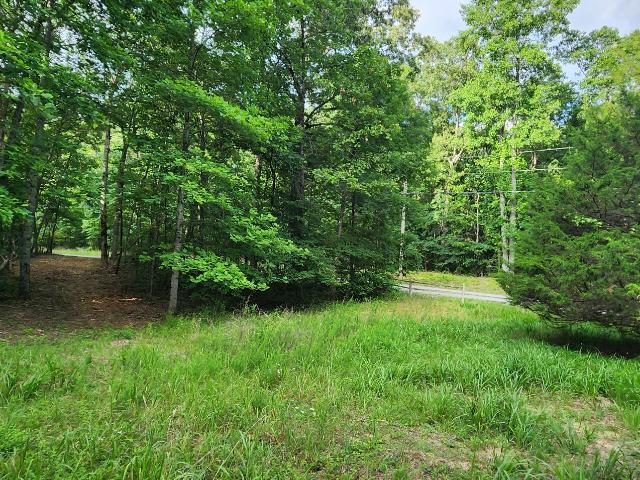 0 Tootley Campbell Rd, Monteagle, TN 37356 | MLS #2787