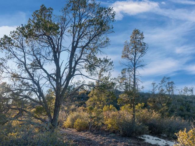 0 Tolemac Way, Prescott, AZ 86305 | MLS #1079