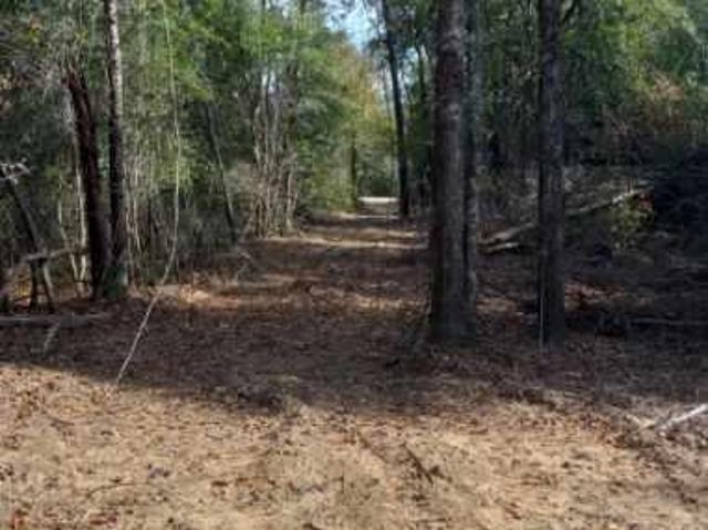 0 Tommy Tucker Rd, Unit LOT 2, Altha, FL 32421 | MLS #751314