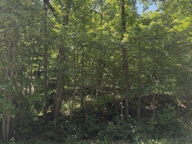 0 Tomahawk Lot 99 Trail