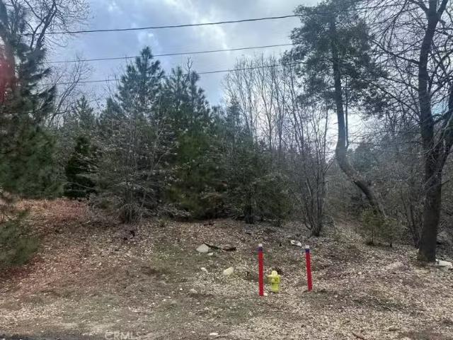 0 Torrey Rd, Cedar Glen, CA 92321 MLS CV25074208