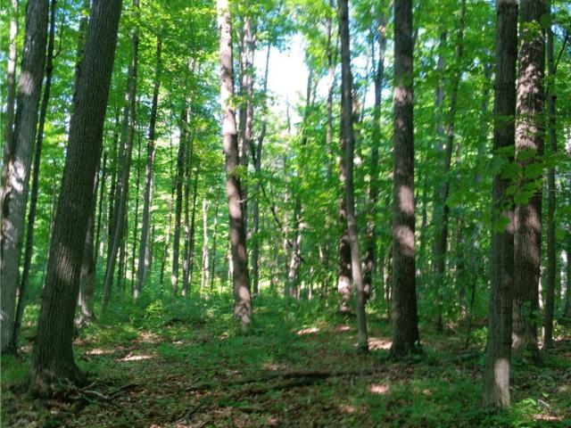0 Townsend Rd, Watkins Glen, NY 14891 | MLS #R1660