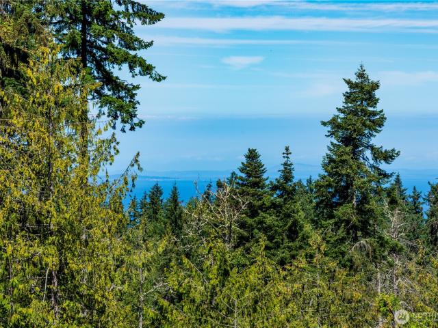 0 Township Line Rd, Port Angeles, WA 98362 | MLS #2423