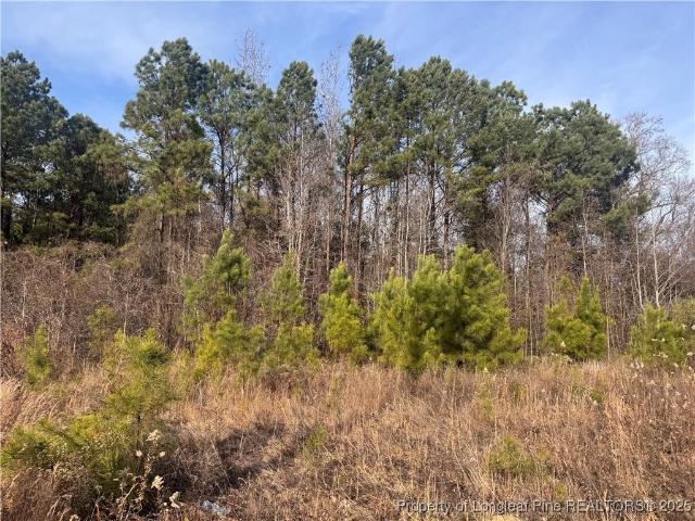 0 Tramway Rd, Sanford, NC 27332 | MLS #754709
