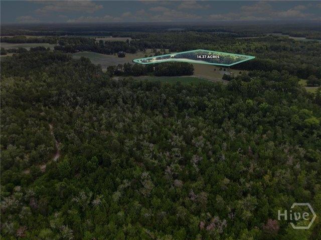 0 Tract C Morgan Rd, Springfield, GA 31329