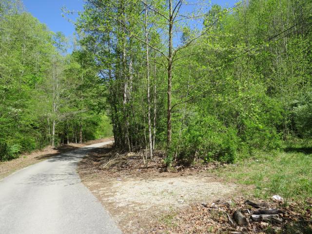 0 Trace Branch Road