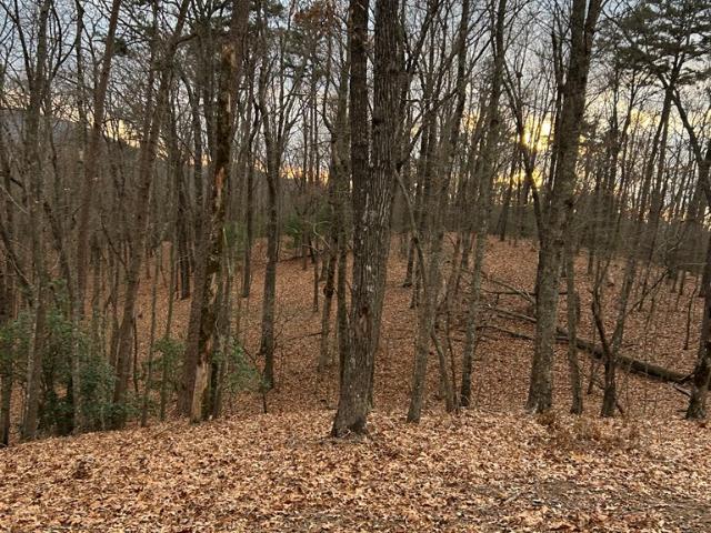0 Tracks Holw, Murphy, NC 28906 | MLS #420501