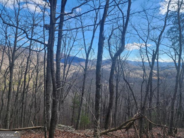 0 Trackrock Gap Road