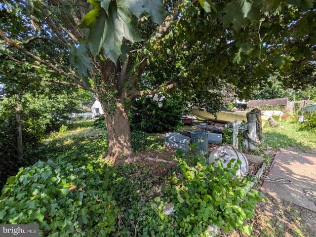 0 Trenton Avenue