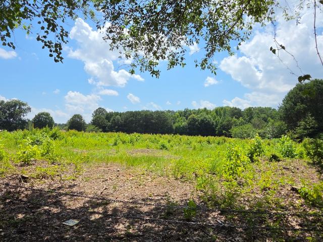 0 Trickum Creek Road