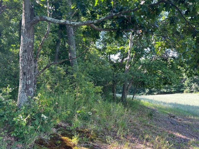 0 Trout Brook Road