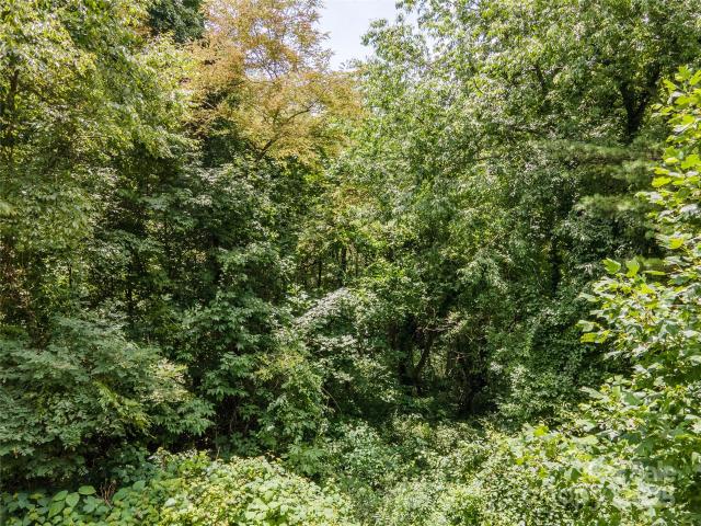 0 Troutman Trl, Leicester, NC 28748 | MLS #4126 | Compass
