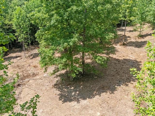 0 Upper Creek Rd, Vanleer, TN 37181 | MLS #2973