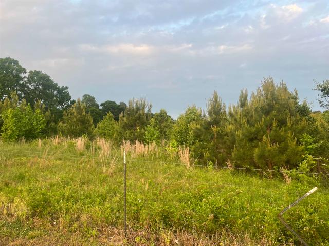 0 US Hwy 278