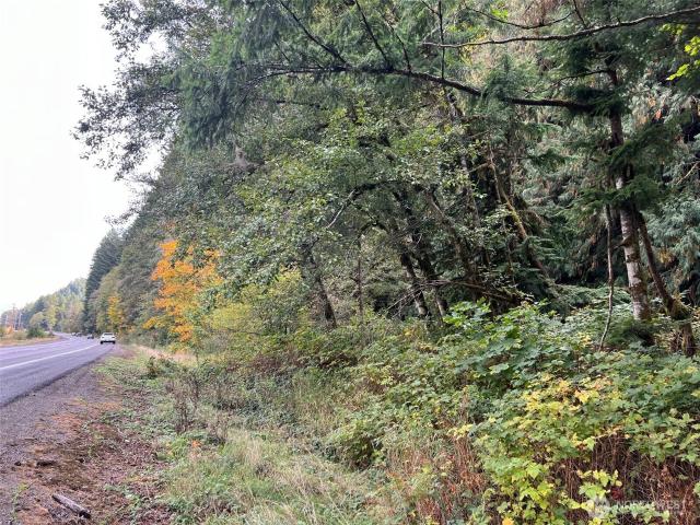0 Us Hwy, Glenoma, WA 98336 | MLS #2466