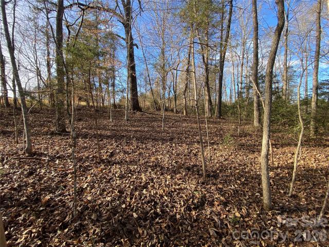 0 Us Hwy, Rutherfordton, NC 28139 | MLS #4345