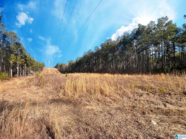 0 Us Highway 278 W # 335Â±Acres