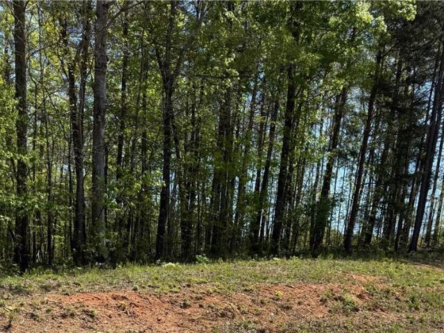 0 US Highway 27, Bremen, GA 30110 | MLS #7751