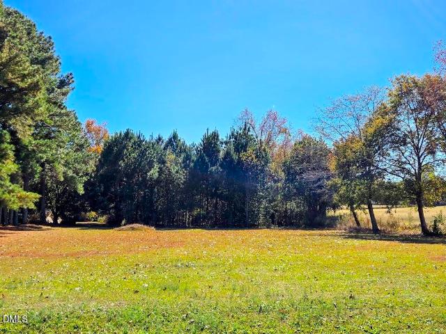 0 Us 421 St, Broadway, NC 27505 | MLS #10131