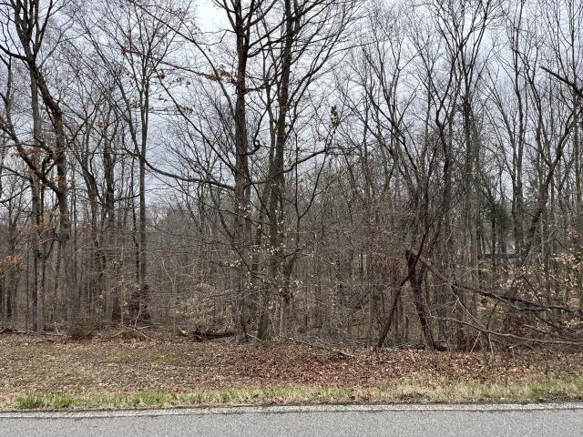 0 Ussery Rd S, Clarksville, TN 37040 | MLS #3178 | Compass