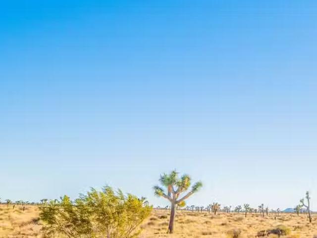 0 Vac/Vic 170 Ste/Ave G10, Hi Vista, CA 93535 MLS 23 302901