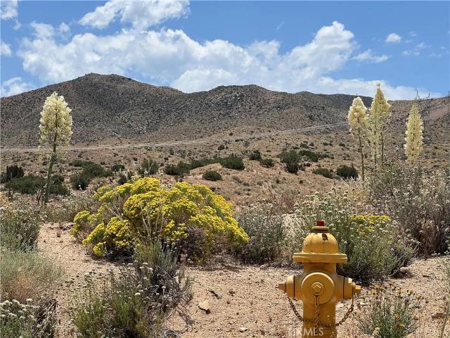 0 Valley View Ct, Landers, CA 92285 | MLS #HD25002