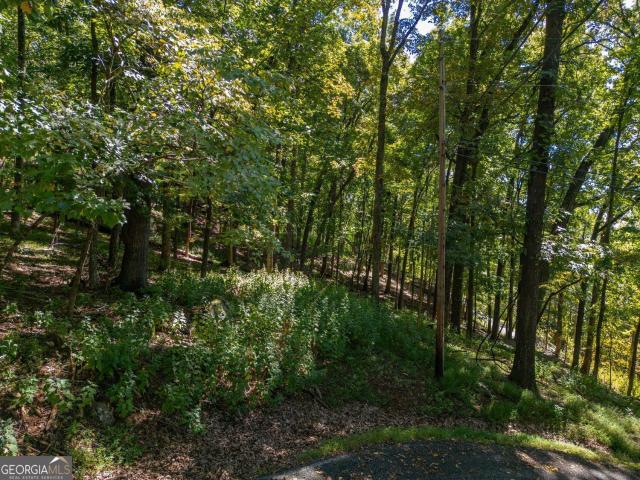 0 Valley View Vista, Jasper, GA 30143 | MLS #10723