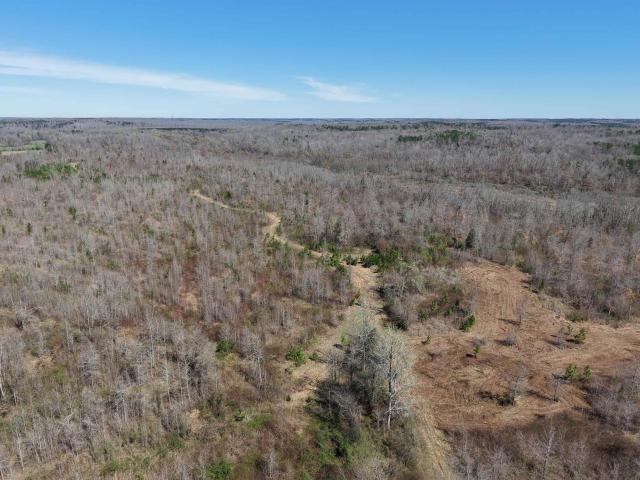 0 Van Buren Rd, Saulsbury, TN 38067 | MLS #10217 | Compass